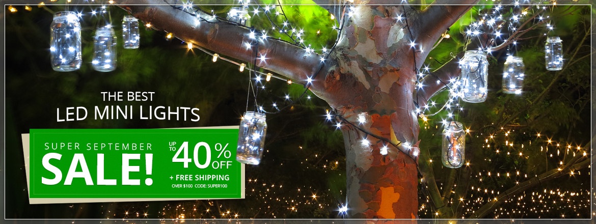 Christmas Lights, Christmas Trees & LED Christmas Lights - Christmas ...