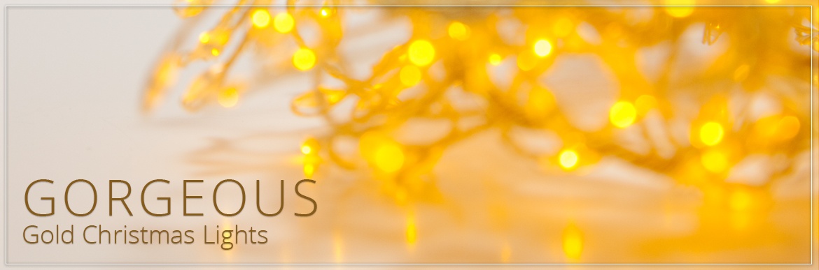 Gold Christmas Lights