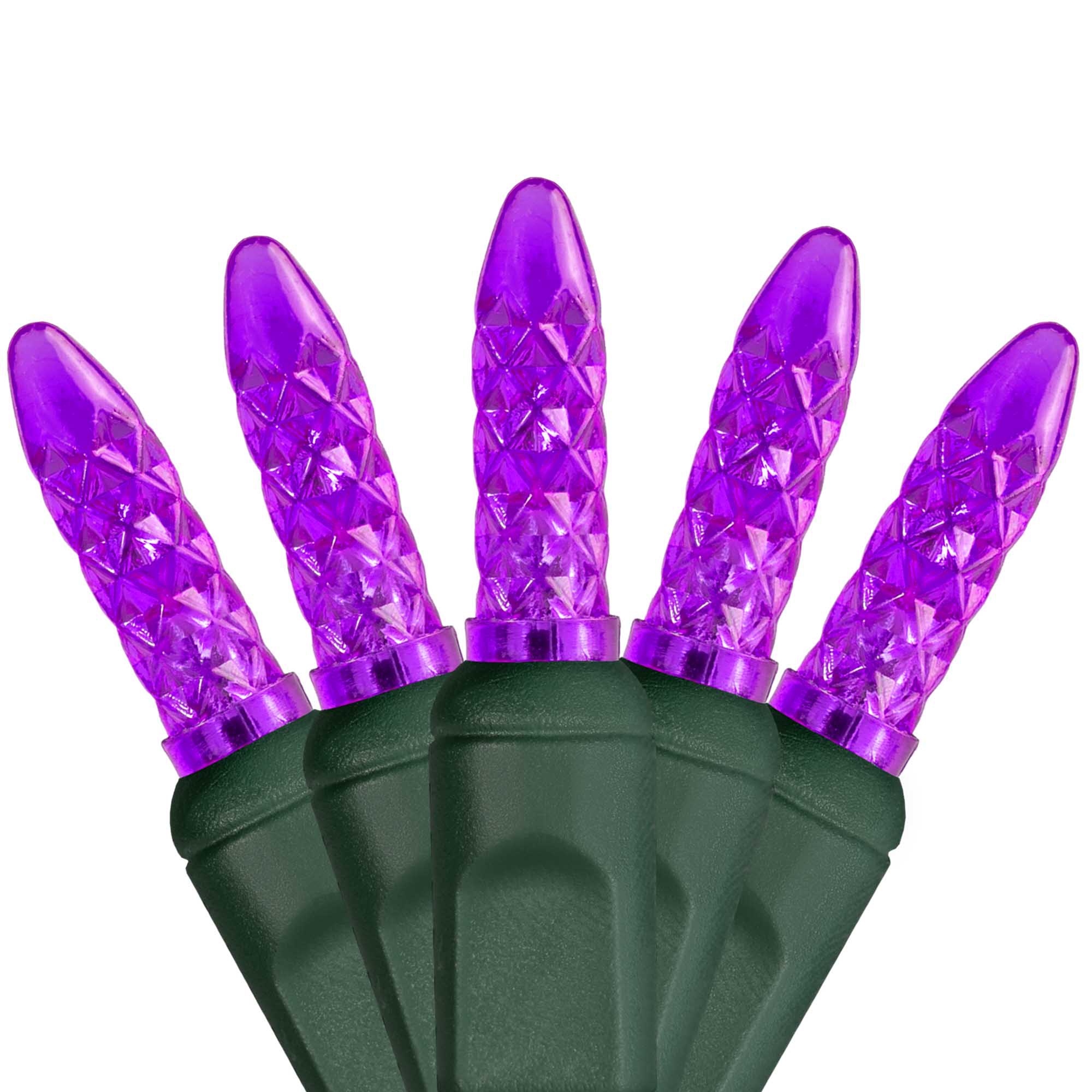 M5 Purple LED Christmas Lights