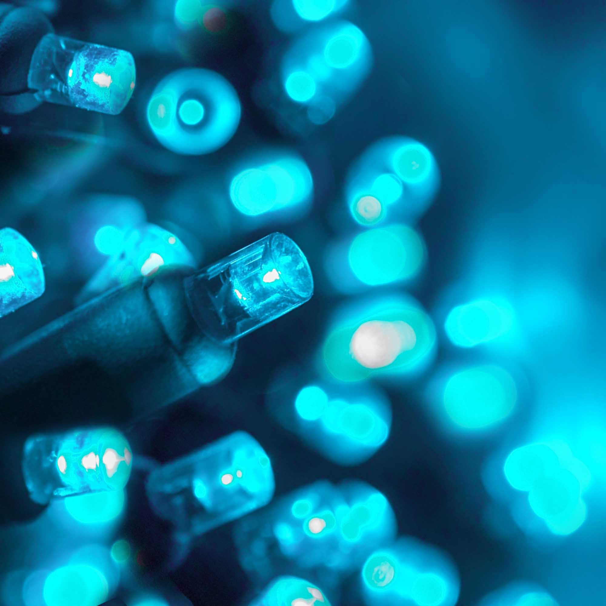 5mm Teal LED Christmas Lights, Commercial