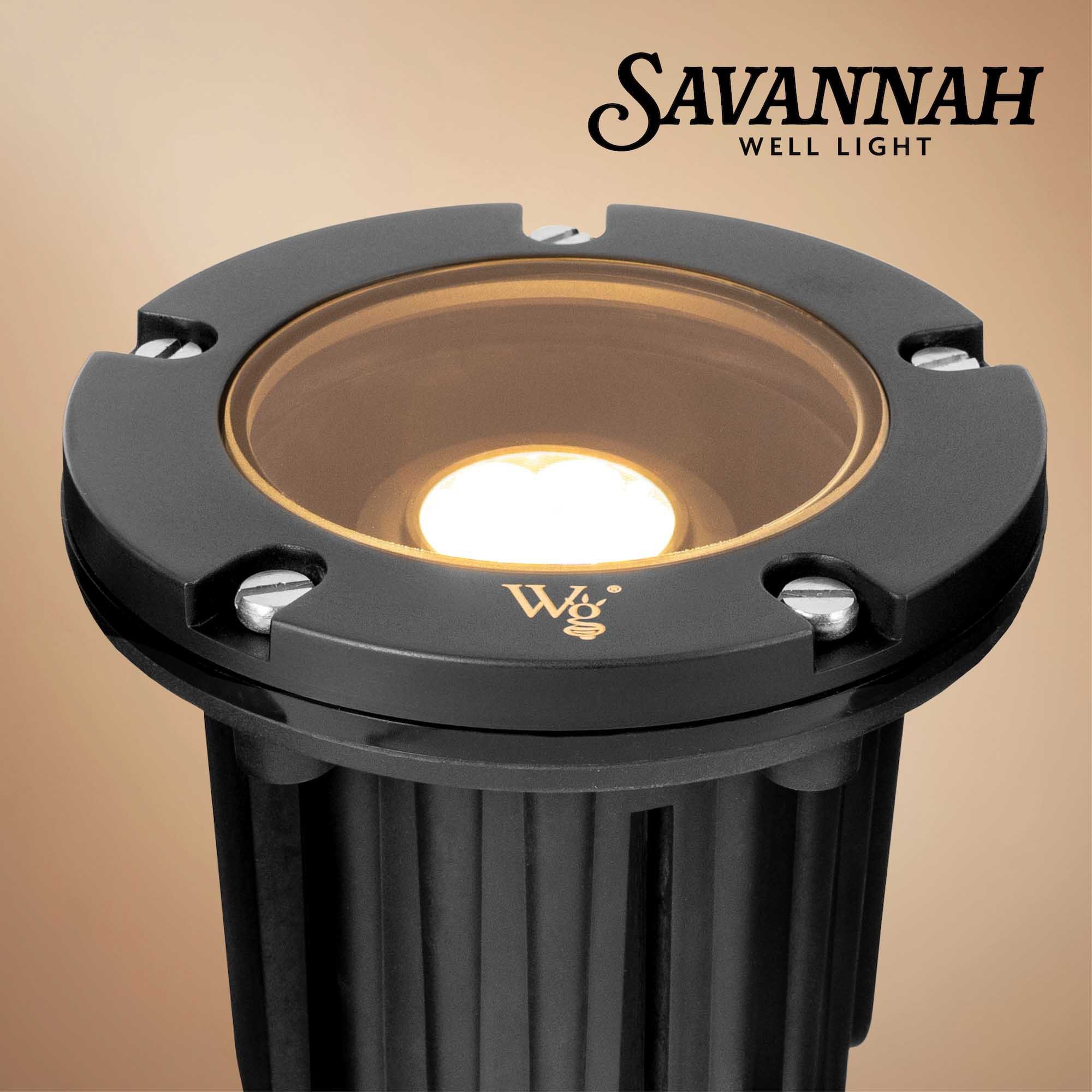 Savannah Outdoor Low Voltage Landscape Lighting Well Light, Black