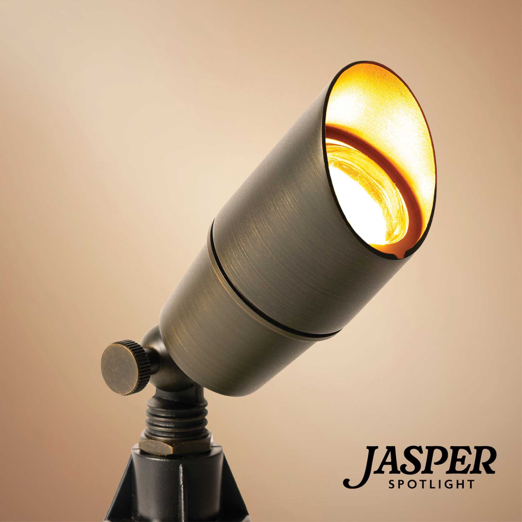 Jasper Outdoor Low Voltage Landscape Lighting Spotlight, Antique Bronze