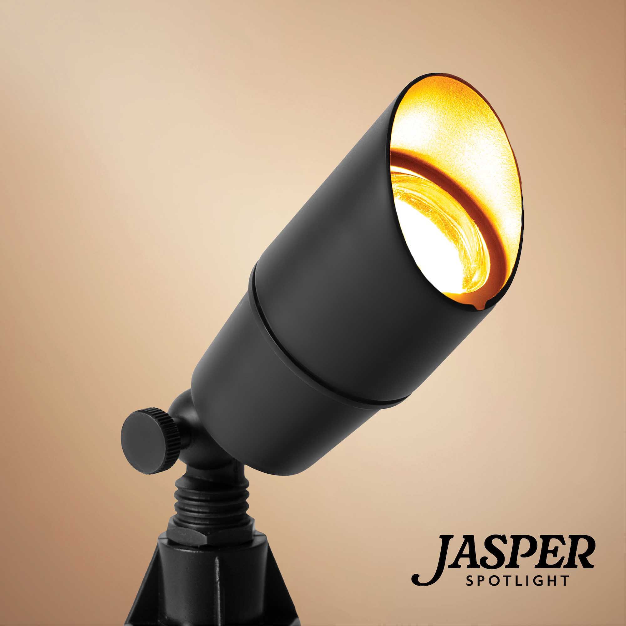 Jasper Outdoor Low Voltage Landscape Lighting Spotlight, Black