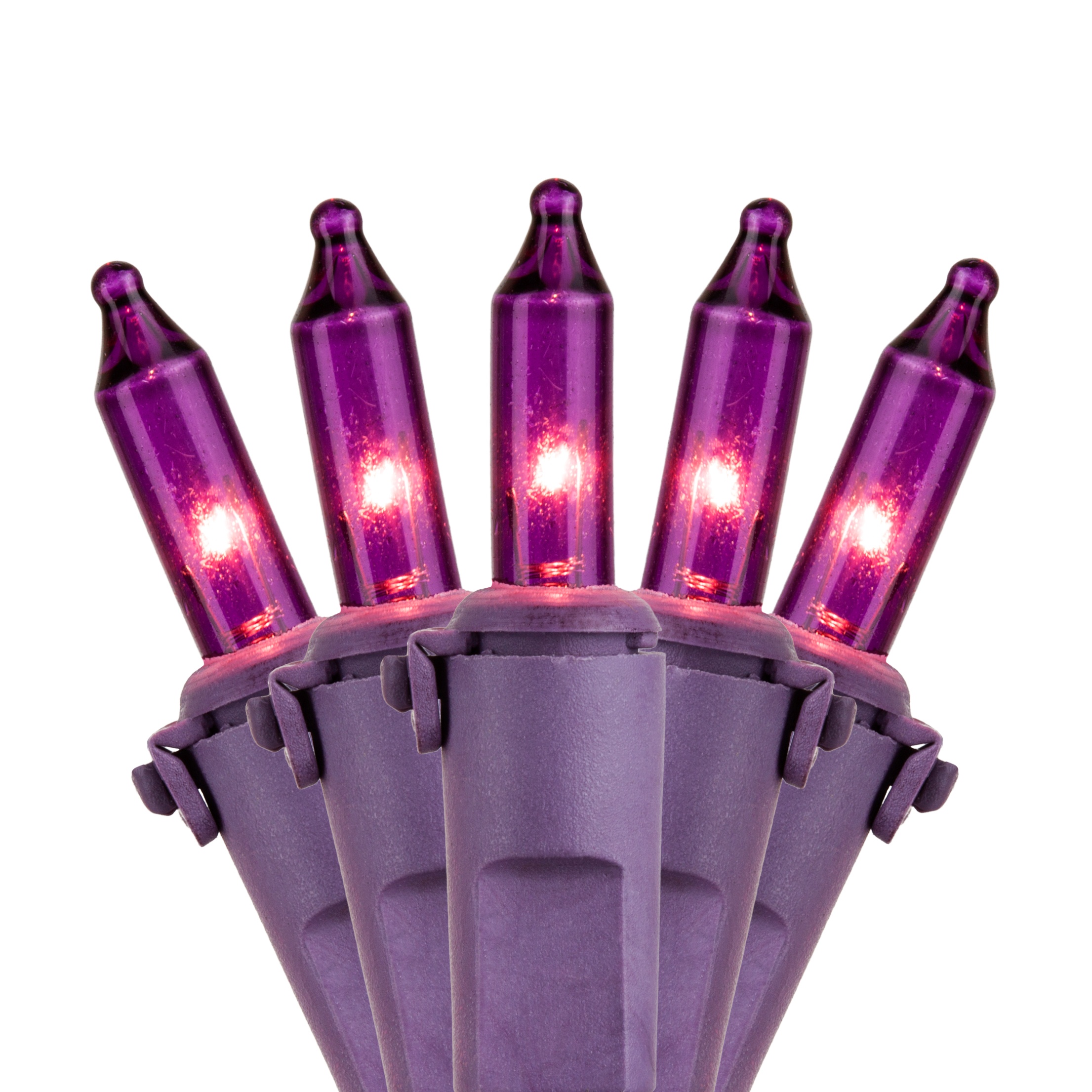 Christmas Lights - 50 Purple Passion Mini Christmas Lights, 6" Spacing ...