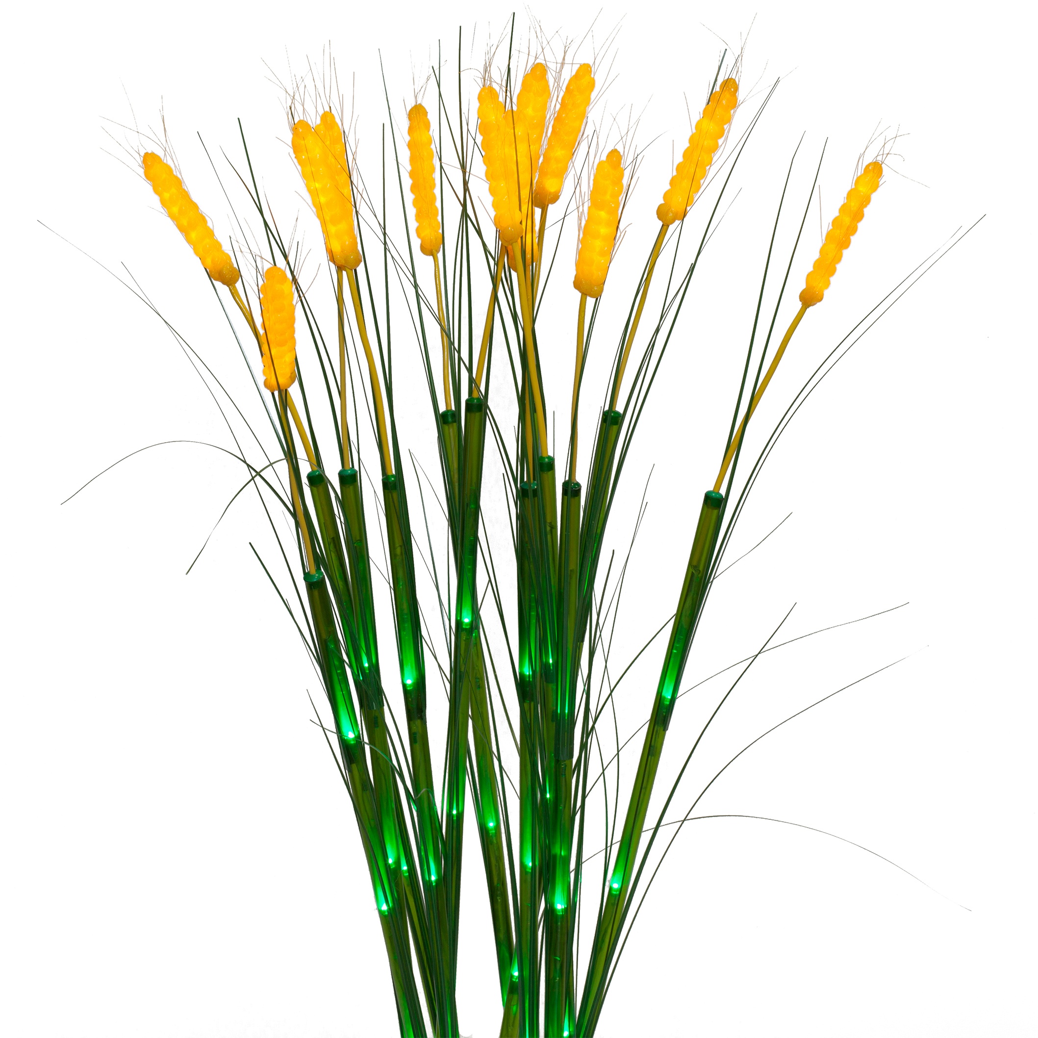 Lighted Palm Trees - 12 Natural LED Wheat Stalks