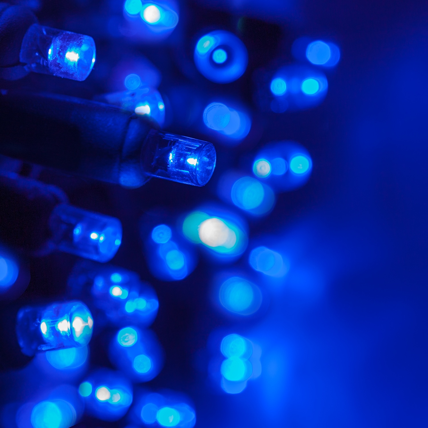 5mm Blue LED Christmas Lights, Commercial