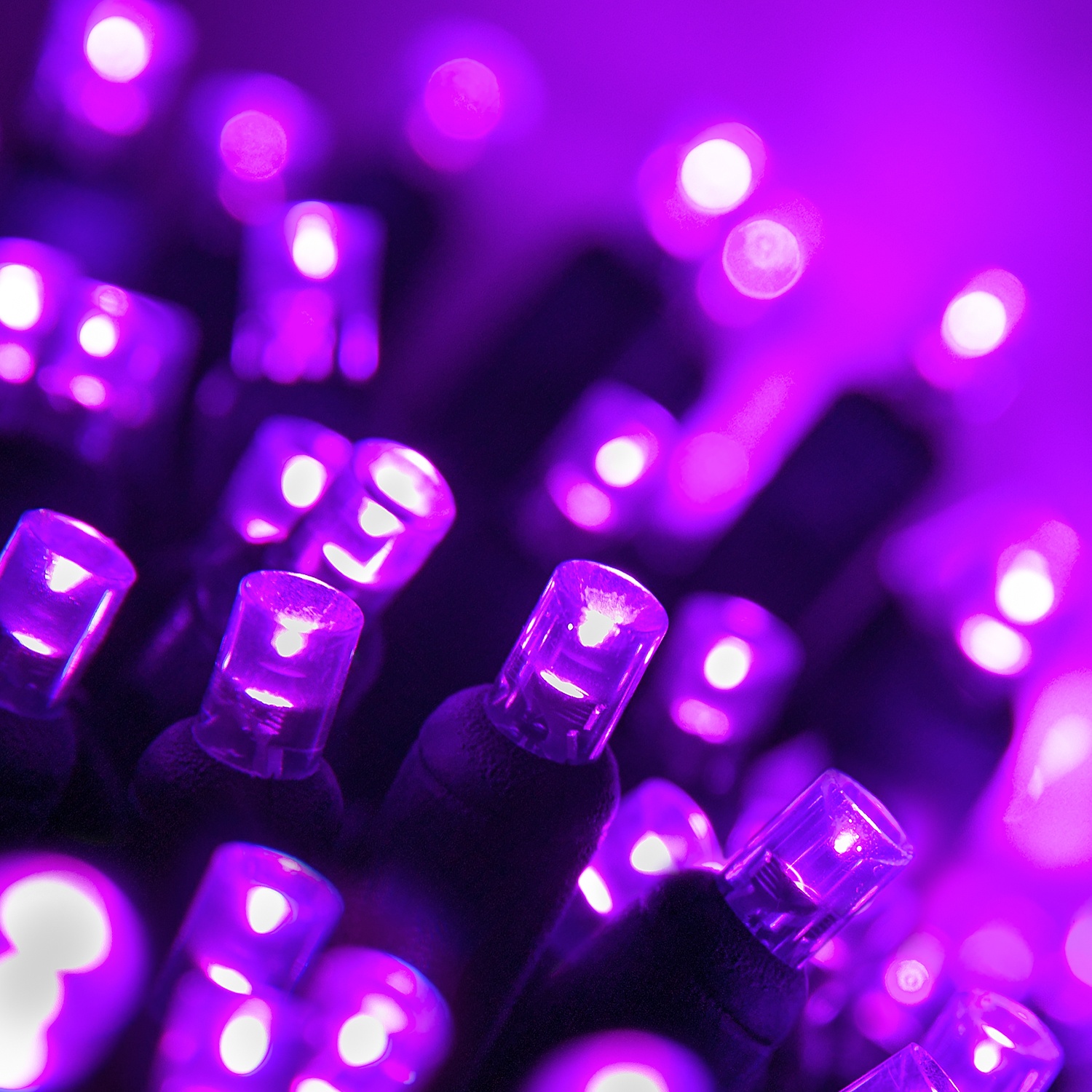 5mm Purple LED Christmas Lights, Commercial