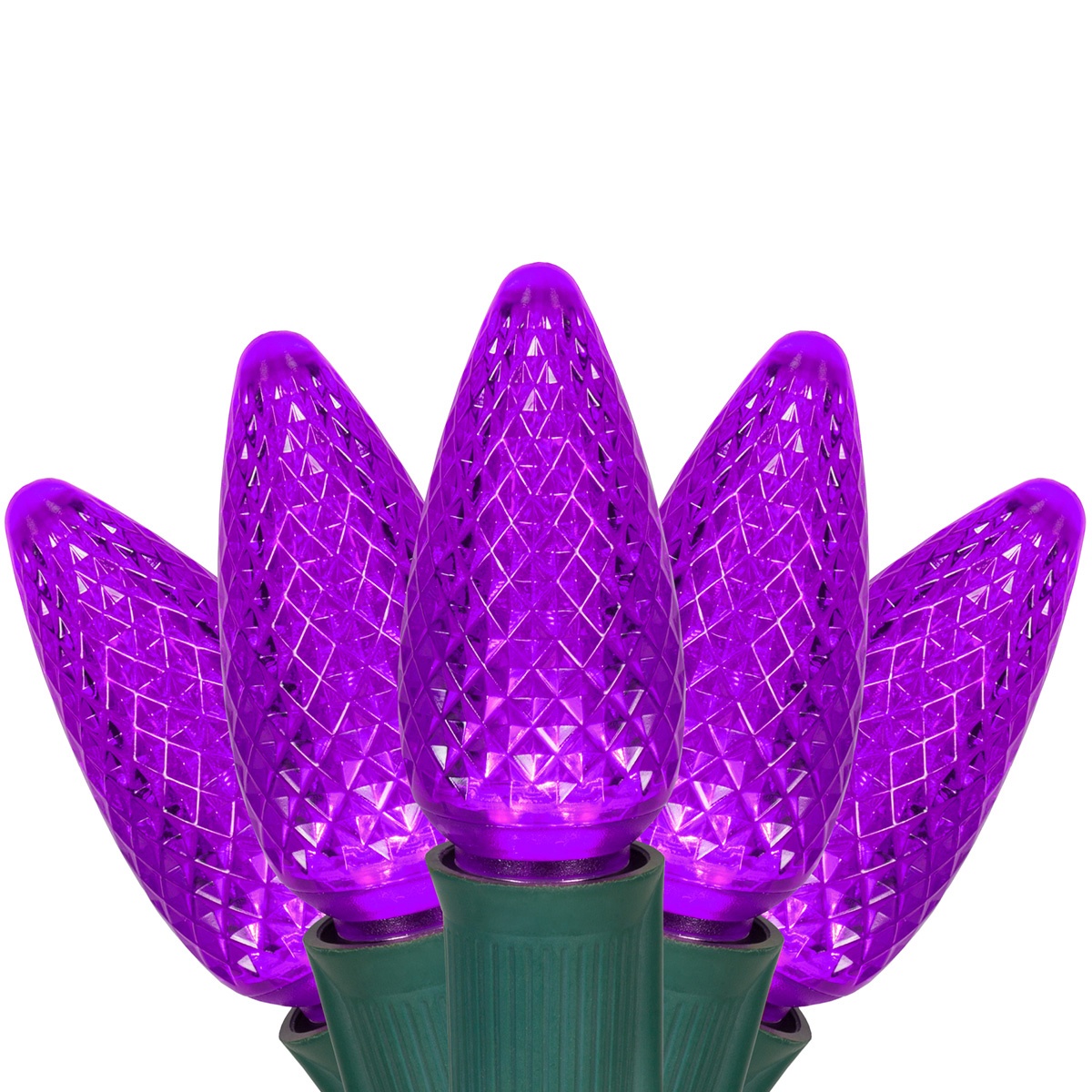 Halloween Lights - C9 Purple Commercial LED Halloween Lights