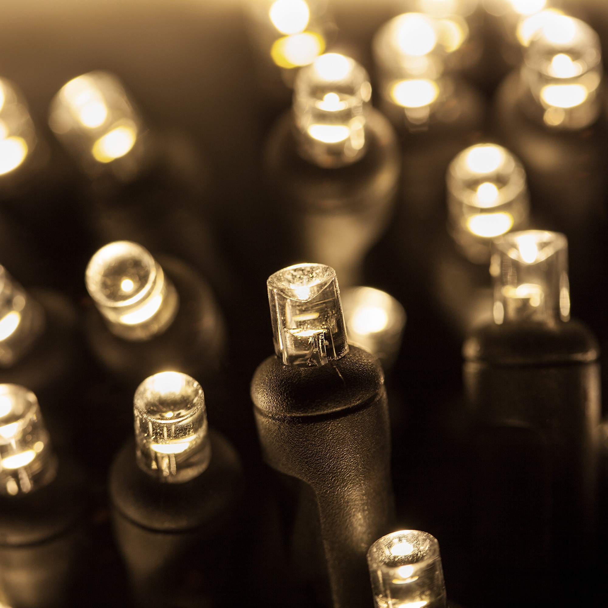 70 5mm Warm White LED Christmas Lights, Commercial, Black Wire