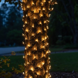 Christmas Net Lights 6 X 12 Trunk Wrap 150 Clear Lights Brown Wire