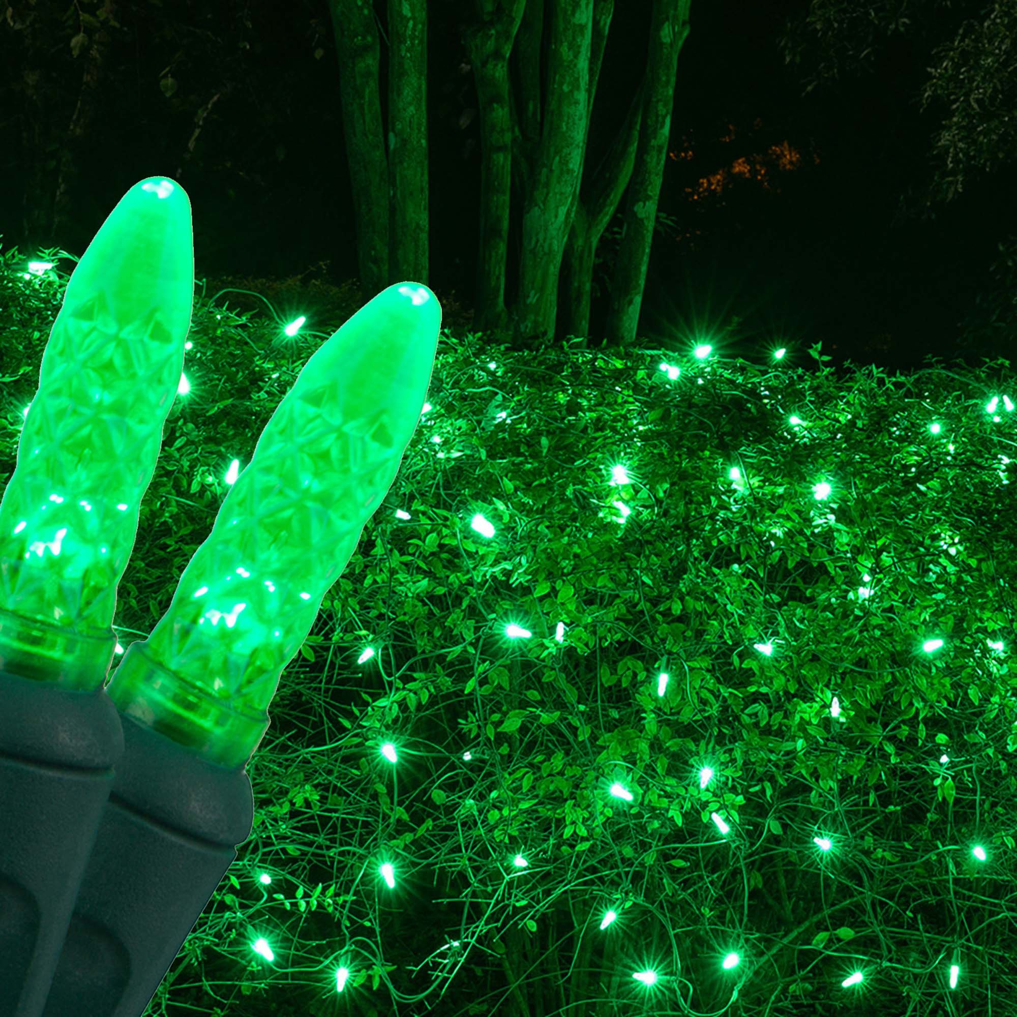 M5 Green LED Net Lights, Green Wire