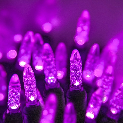 M5 Purple LED Christmas Lights