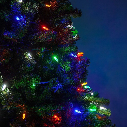 M5 Multi Color LED Christmas Lights