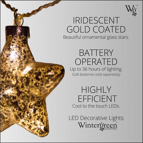 Novelty Lights - Wintergreen Lighting® Battery Operated LED Iridescent ...