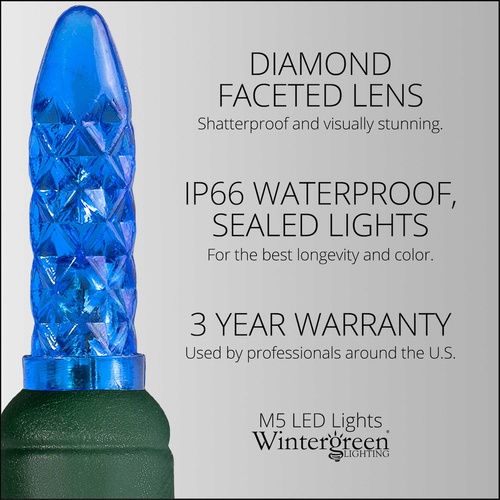 M5 Blue LED Christmas Lights