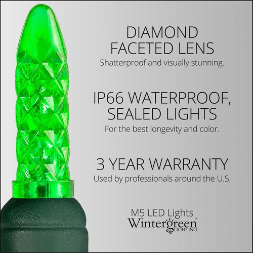 M5 Green LED Christmas Lights