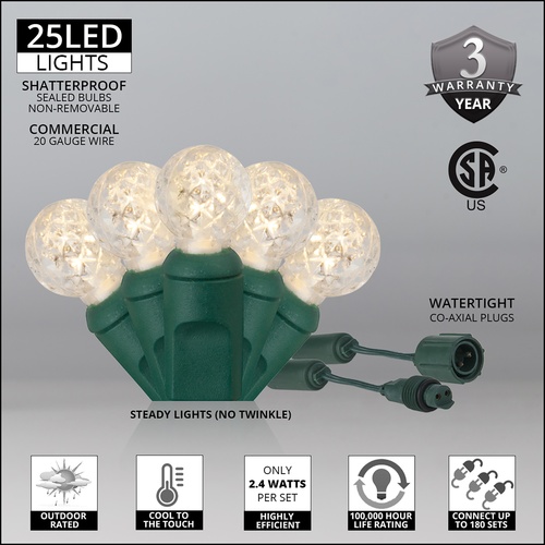 Commercial G12 Warm White LED String Lights