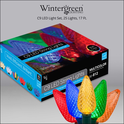 C9 Multi Color LED Christmas Lights