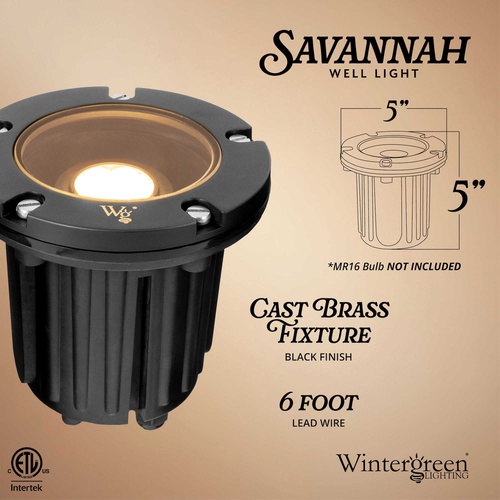 Savannah Outdoor Low Voltage Landscape Lighting Well Light, Black