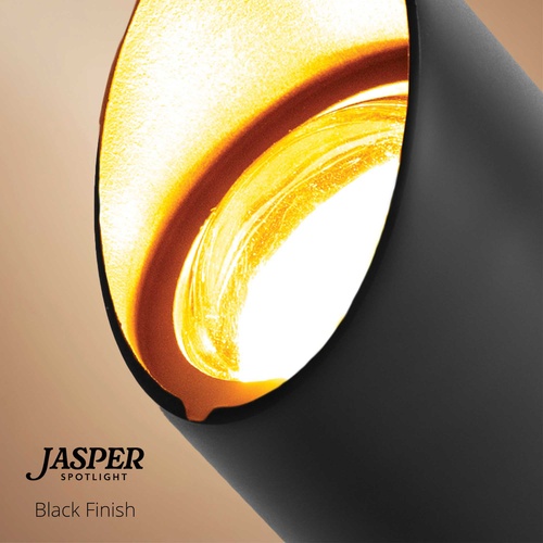 Jasper Outdoor Low Voltage Landscape Lighting Spotlight, Black