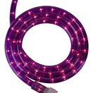 Purple Rope Lights