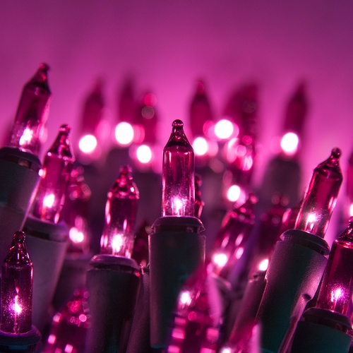 Christmas Lights - 50 Purple Mini Christmas Lights, 4" Spacing, Premium ...