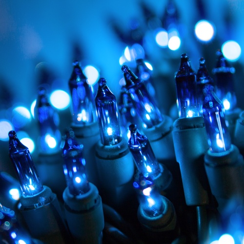 Christmas Mini Lights - Commercial 100 Blue Christmas Mini Lights, 6 ...