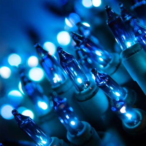 Chasing Christmas Mini Lights - 140 Blue Chasing Mini Lights, 4 ...