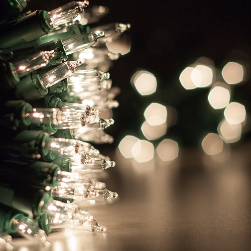 Christmas Lights - 100 Clear Twinkle Christmas Tree Mini Lights, 6 ...