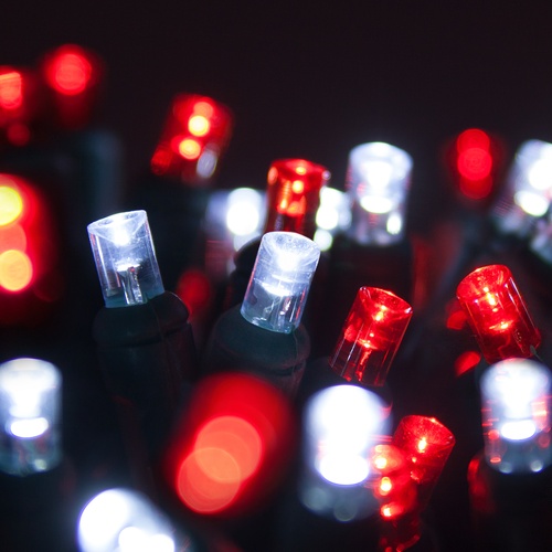 5mm Cool White, Red LED Christmas Lights, Commercial
