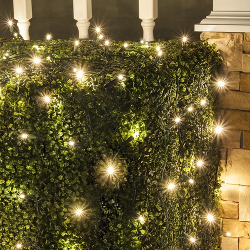 5mm Warm White Twinkle LED Net Lights, Green Wire