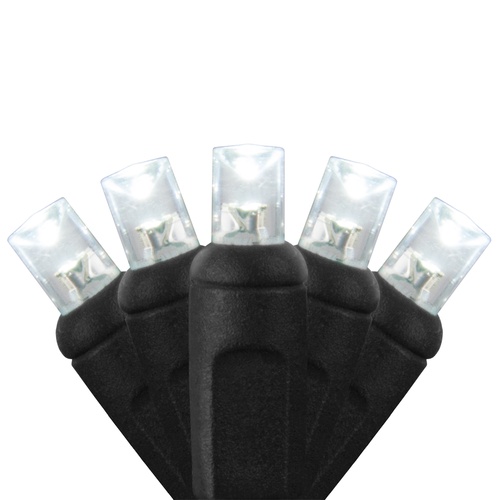 5mm Cool White LED Christmas Lights, Commercial, Black Wire