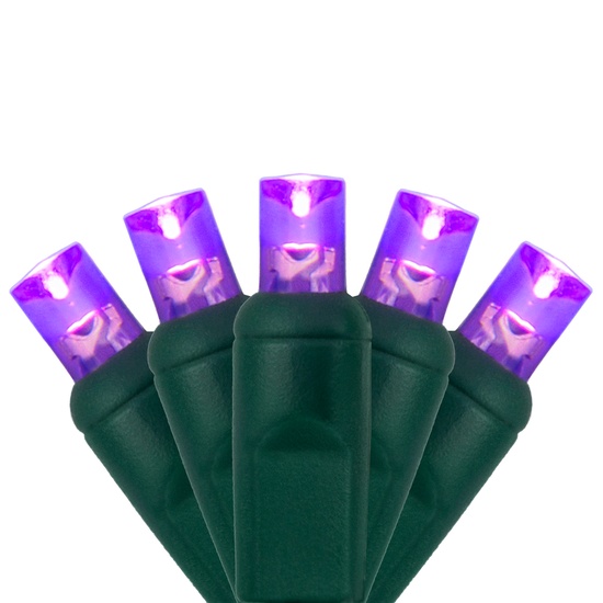 5mm Purple LED Christmas Lights