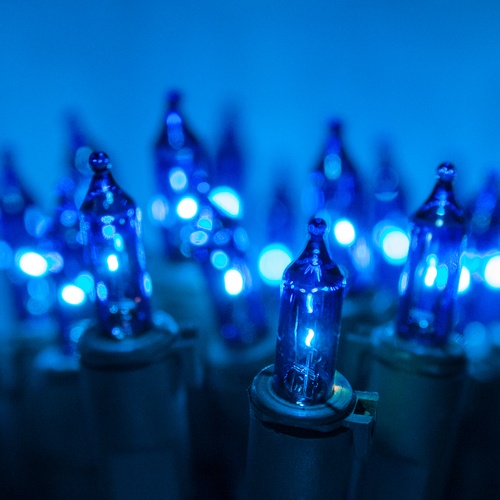 Christmas Lights - 100 Viviluxe TM Blue Christmas Mini Lights, 5.5 ...