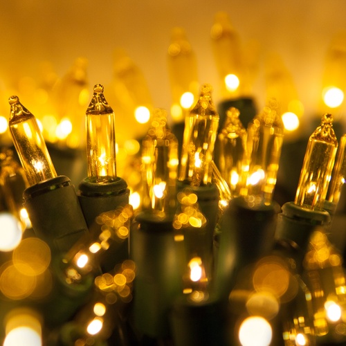 Christmas Lights - 50 Gold Christmas Tree Mini Lights, 4" Spacing ...