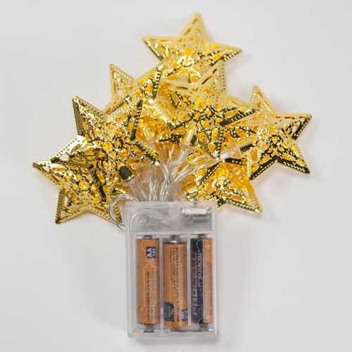 Novelty Lights - Wintergreen Lighting® Battery Operated LED Golden ...