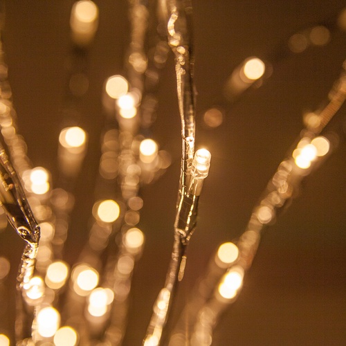 Silver Lighted Branches with Warm White LED Twinkle Lights, 1 pc