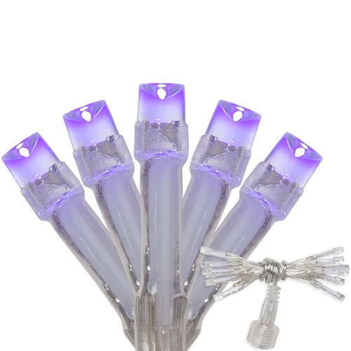 Aurora Superstar TM Light String, 12 Purple LED Mini Lights, Clear Wire