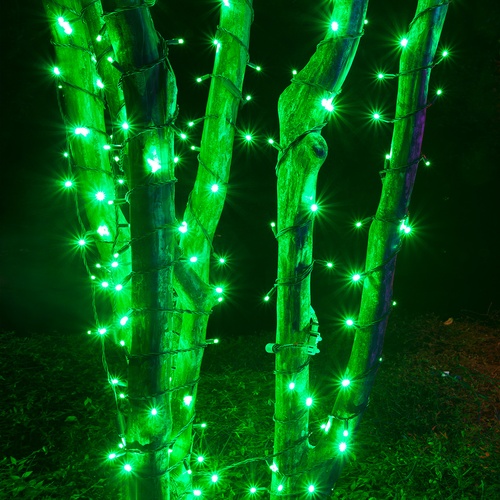 green tree lights