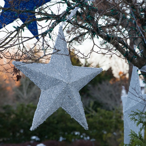 White Metallic Mesh Star Light, White LED Lights