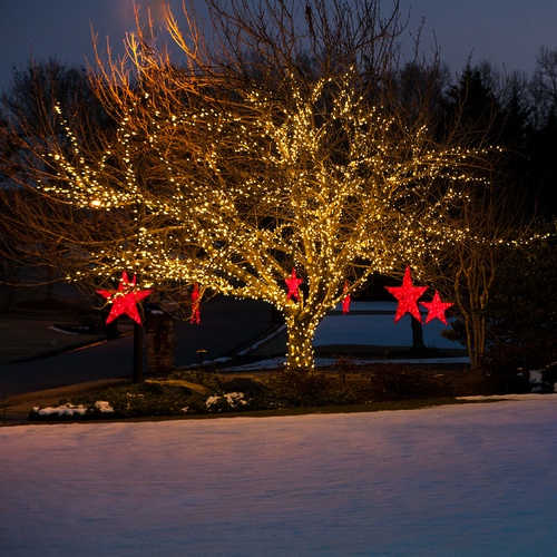 Red Metallic Mesh Star Light, Red LED Lights