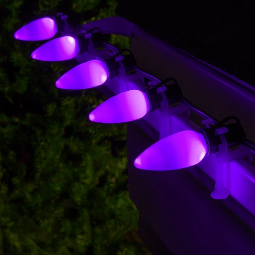 Halloween Lights - C9 Purple Smooth Opticore Commercial LED Halloween ...