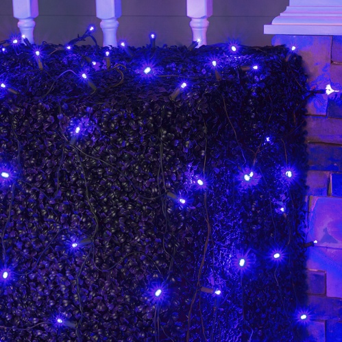 5mm Blue LED Net Lights, Green Wire