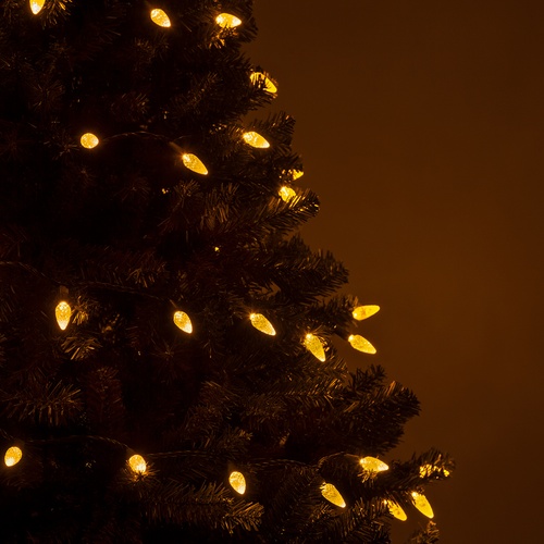 C6 Gold LED String Lights