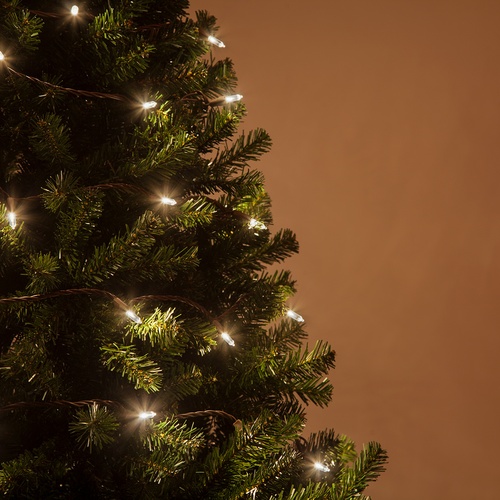 T5 Warm White LED Christmas Tree Lights, Brown Wire