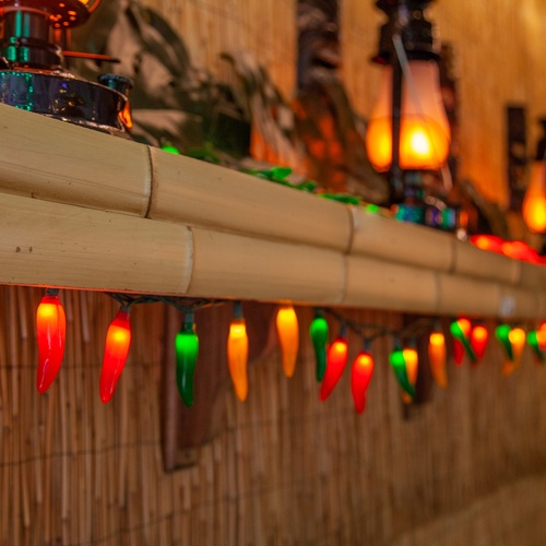 Novelty Lights - Chili Pepper Light Set, 35 Multicolor Lights