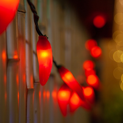 Novelty Lights - Chili Pepper Light Set, 35 Red Lights