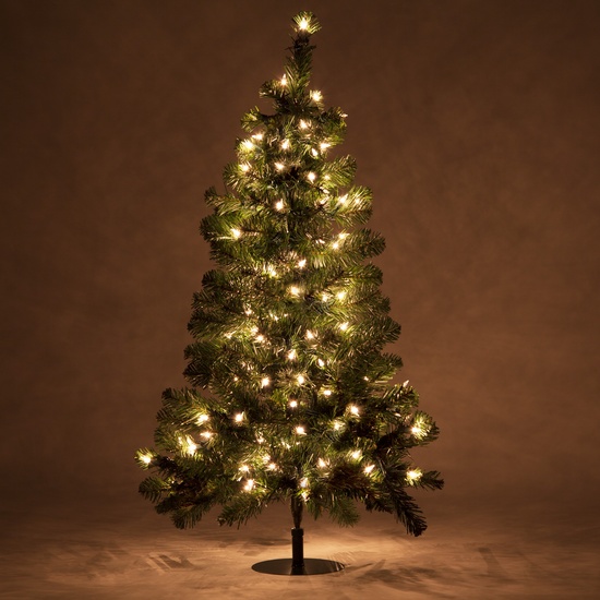 Winchester Fir Prelit Incandescent Clear Light Walkway Tree
