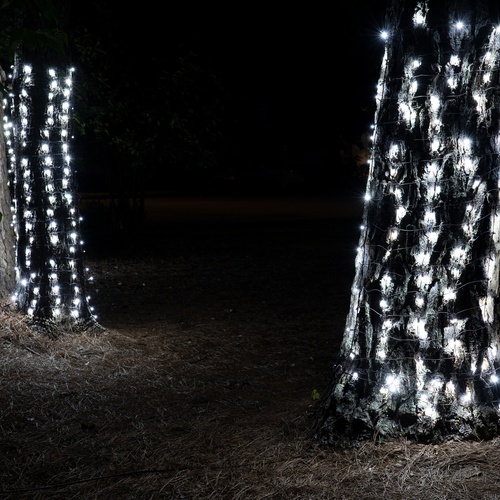 5mm Cool White LED Tree Wrap Lights, Green Wire