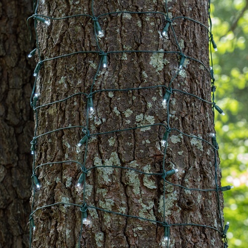 5mm Cool White LED Tree Wrap Lights, Green Wire